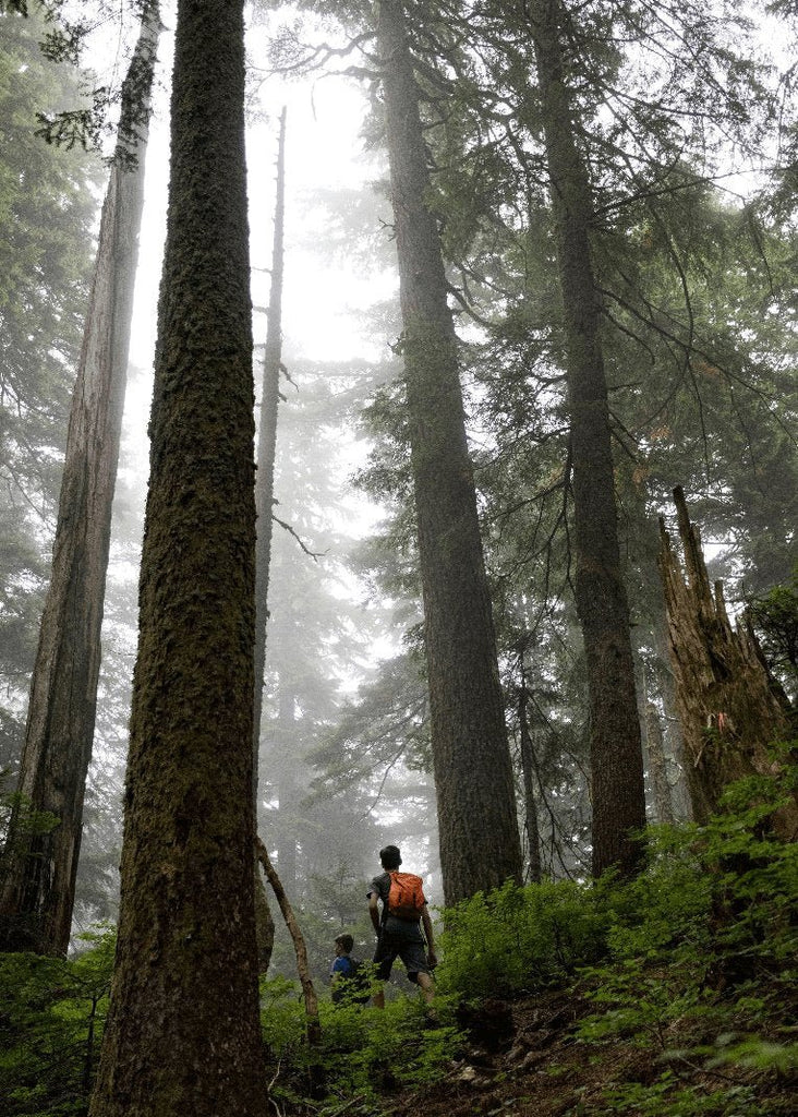 Tips for Backpacking in the Summer – Light Hiking Gear